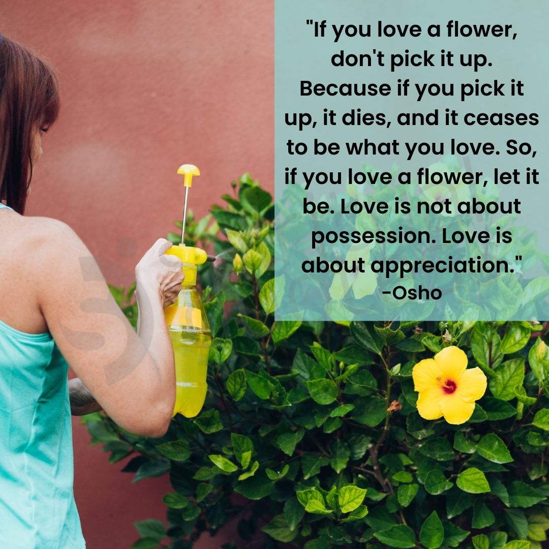 65+ Quotes by Osho on Love, Life & Happiness - Spiritual Quotes