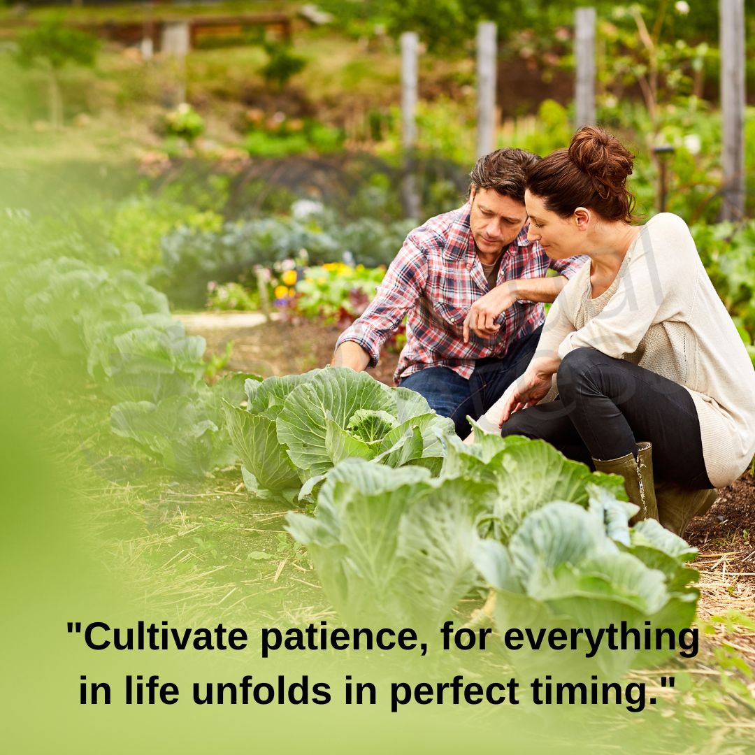 40+ Mata Amritanandamayi Quotes in English on Education